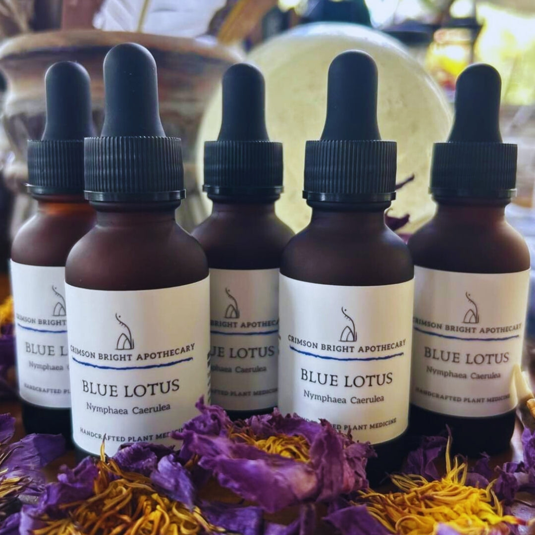 Blue Lotus (Nymphaea Caerulea) Double-Extracted Tincture – Crimson ...